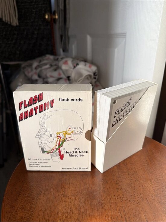 Other | Flash Anatomy Flash Cards The Head And Neck Muscles By Andrew ...